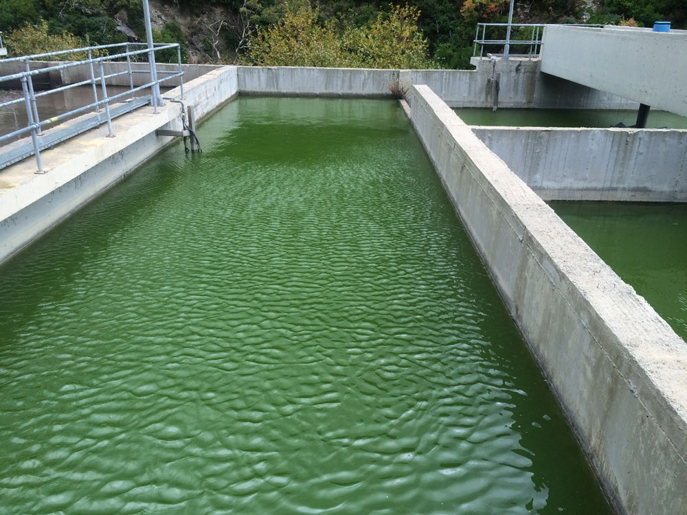 Μελέτες και Έργα Διαχείρισης και Επεξεργασίας Υγρών Αποβλήτων • Green ...